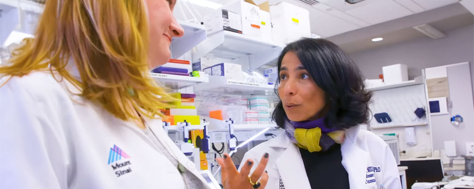 Immunology and Immunotherapy | Icahn School of Medicine