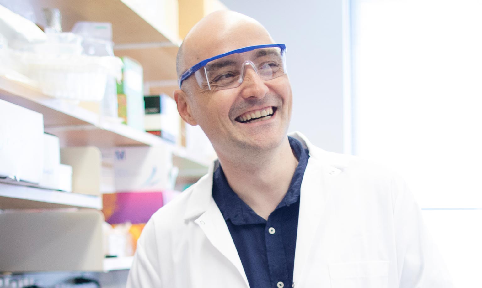 Department of Immunology and Immunotherapy | Icahn School of Medicine