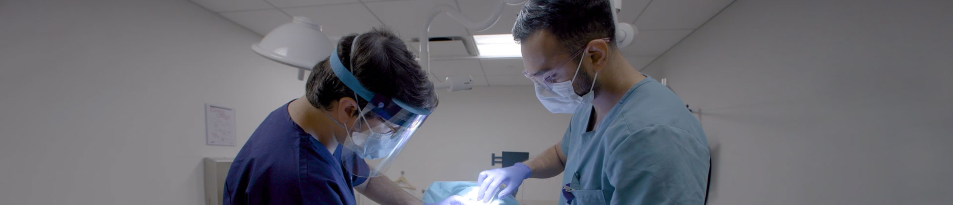 MSH Micrographic Surgery and Dermatologic Oncology | Icahn School of ...