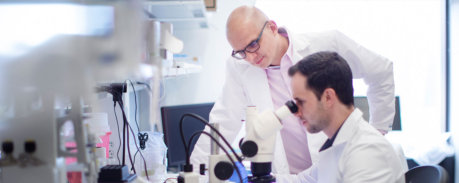 Cardiology and Cardiovascular Research | Icahn School of Medicine