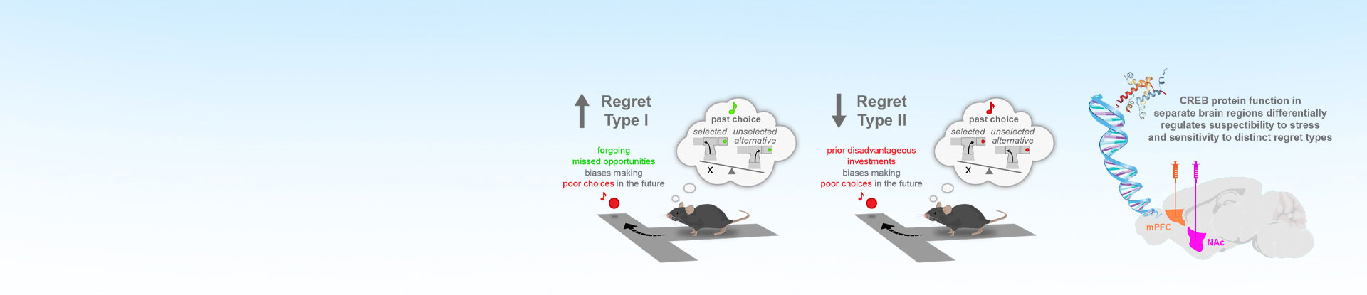 PhD Program in Neuroscience | Icahn School of Medicine