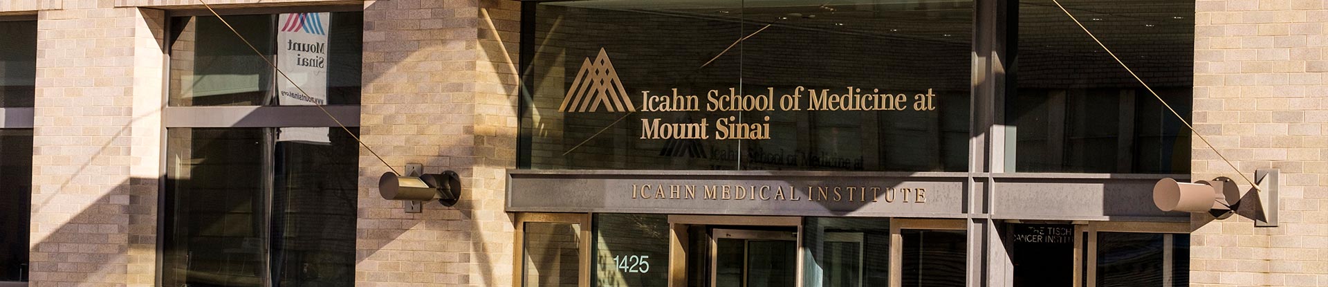 MSH Psychiatry Triple | Icahn School of Medicine