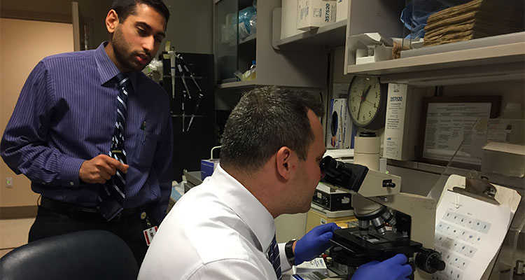 Curriculum Urology Residency | Icahn School of Medicine