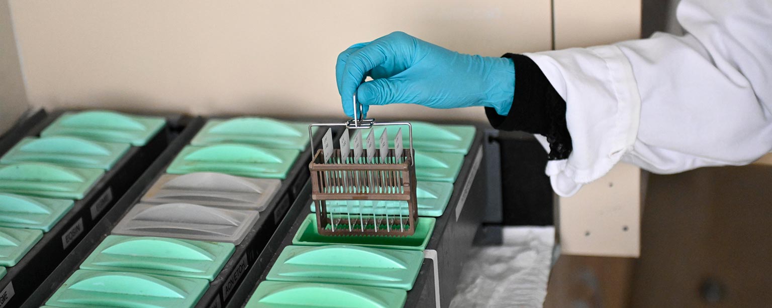 Research Opportunities for Medical Students | Icahn School of Medicine