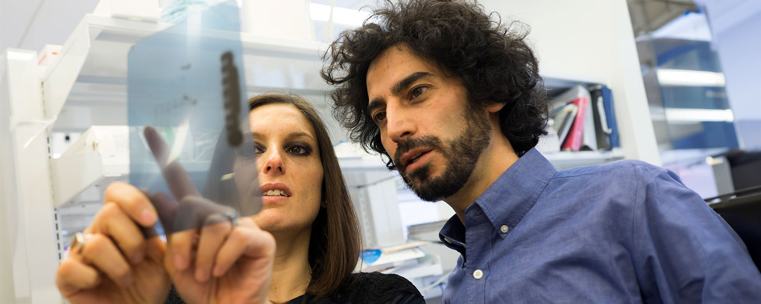 Genetics and Genomics - PhD in Biomedical Sciences | Icahn School of ...