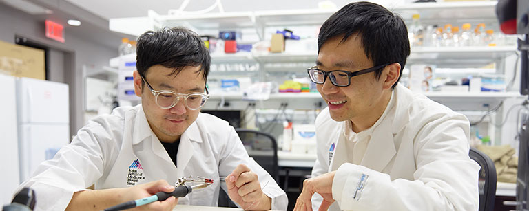 Genetics and Genomics PhD Research | Icahn School of Medicine