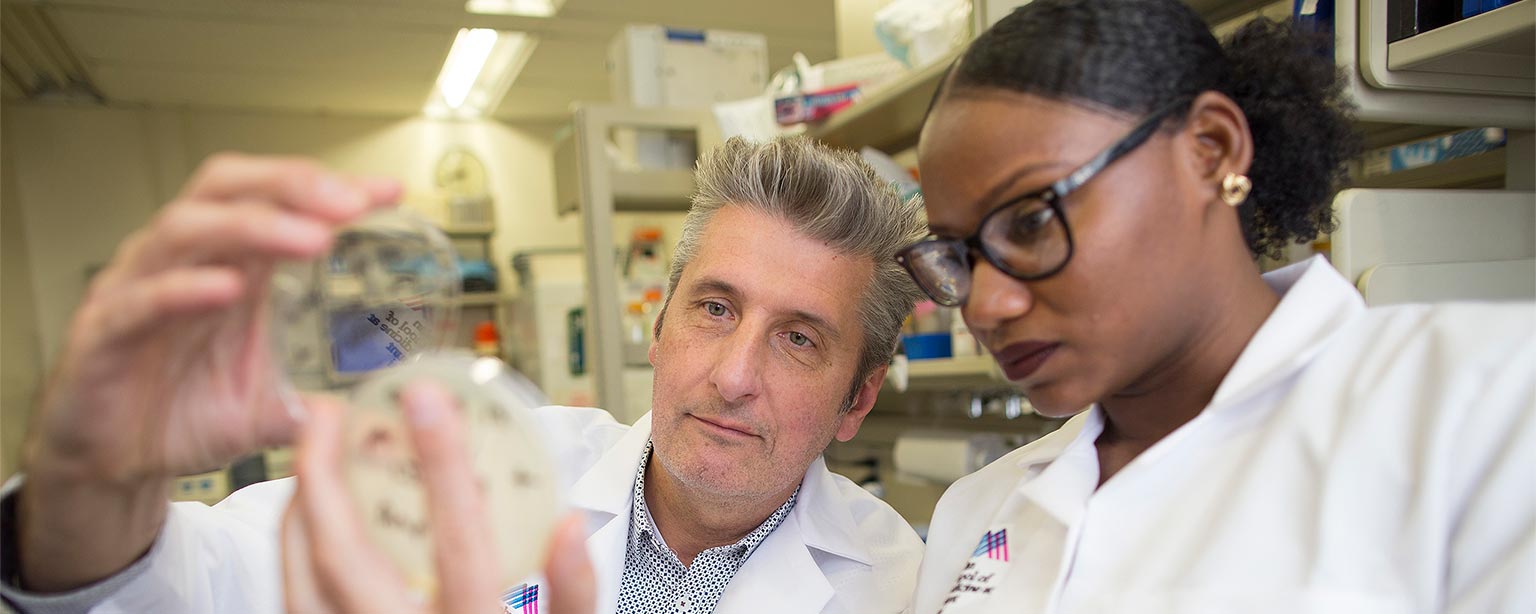 Development, Regeneration, and Stem Cells PhD Research | Icahn School ...