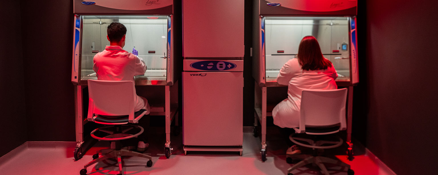 PhD in Health Sciences Engineering | Icahn School of Medicine