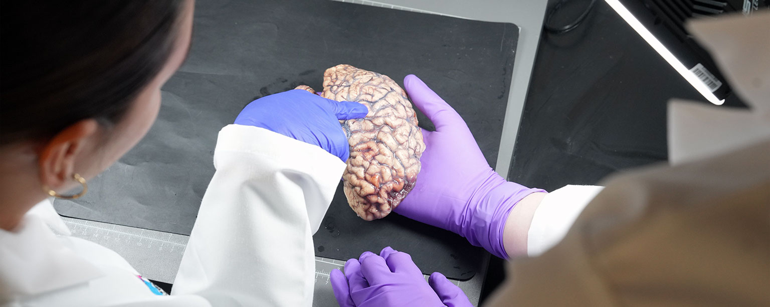 PhD Program in Neuroscience | Icahn School of Medicine