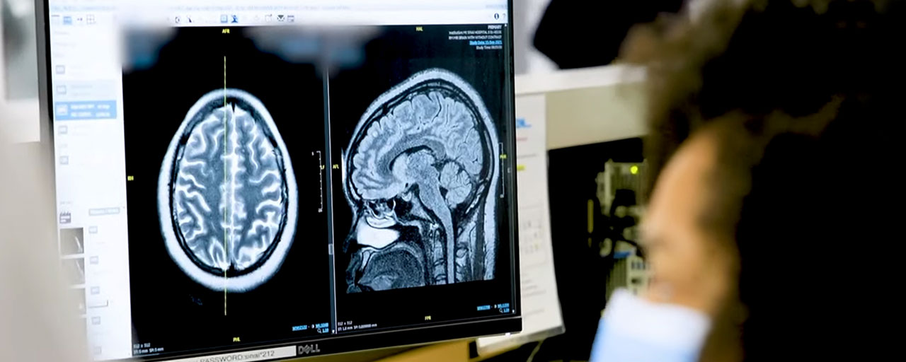 Neuroscience PhD Program Laboratories | Icahn School of Medicine