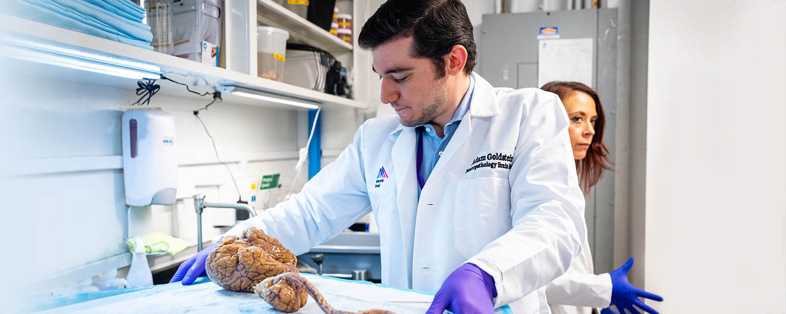 Neuroscience PhD Program Laboratories | Icahn School of Medicine