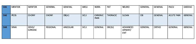 Curriculum – Anesthesiology Residency | Icahn School of Medicine