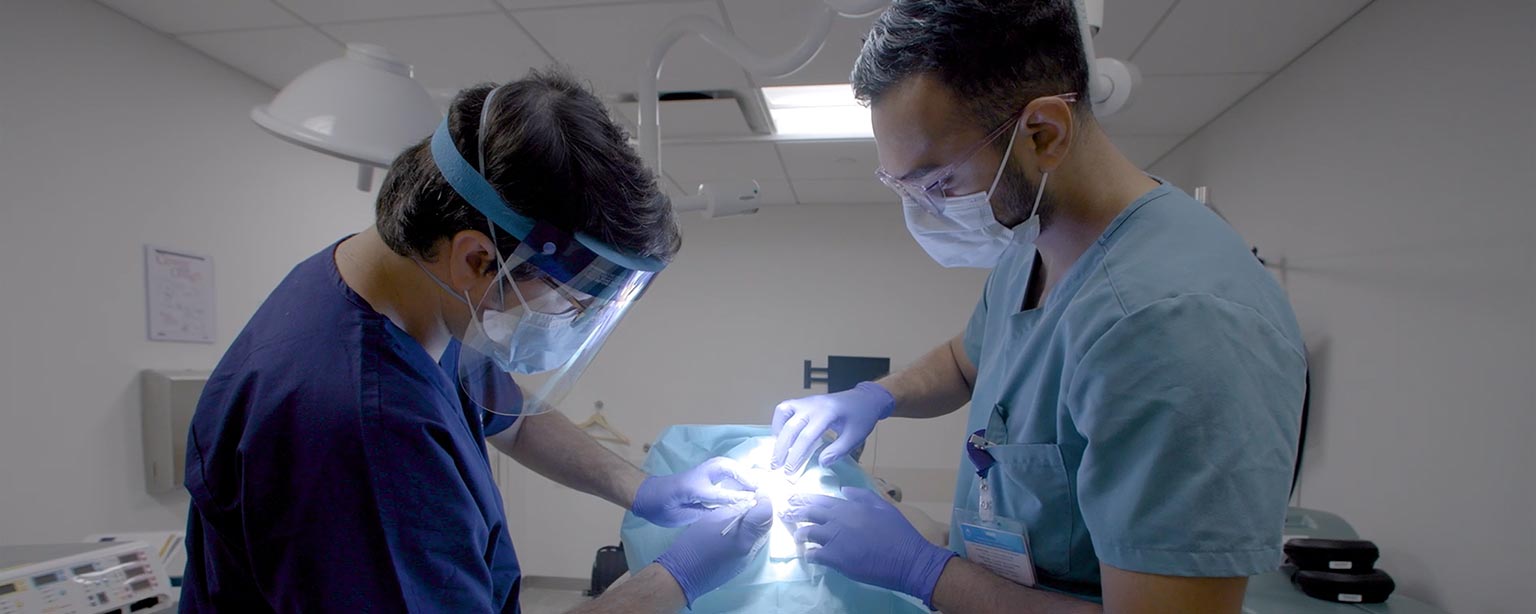 Mohs Micrographic Surgery and Dermatologic Oncology Fellowship | Icahn ...