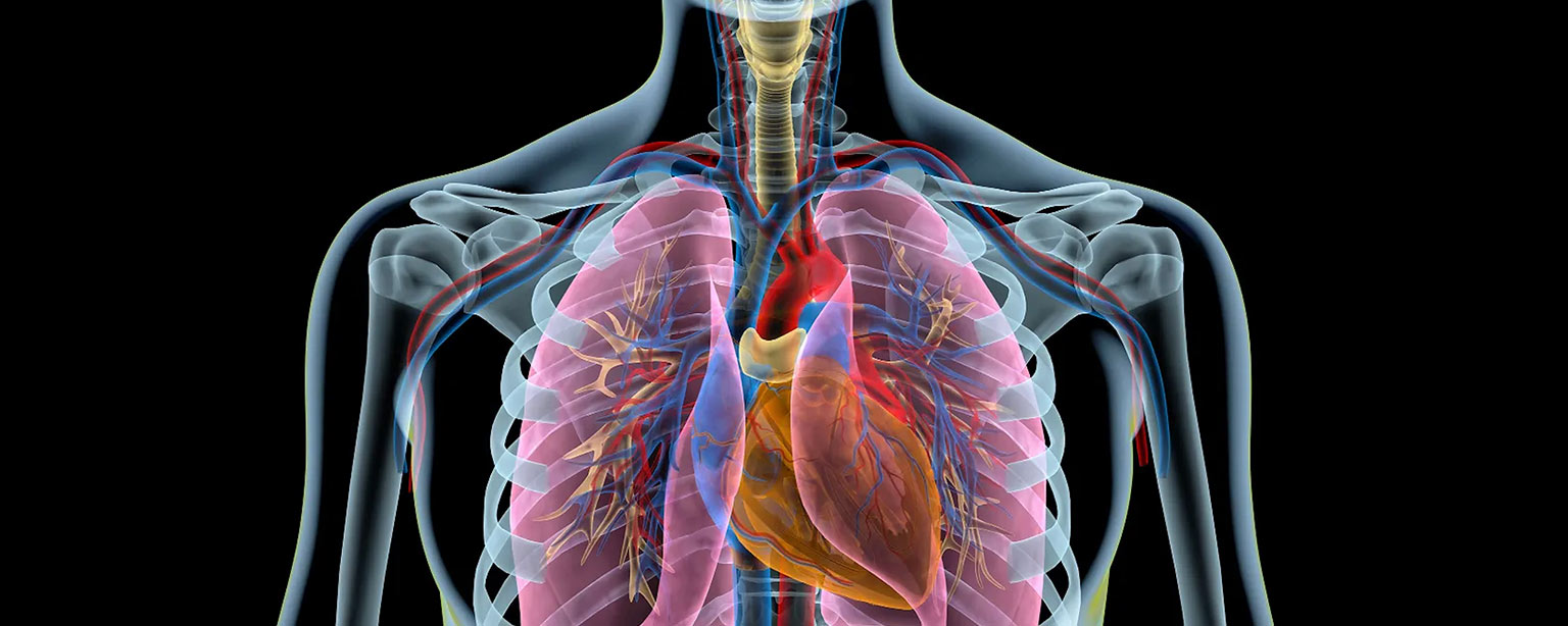 MSWM Pulmonary and Critical Care Fellowship | Icahn School of Medicine