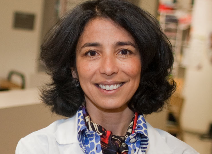 Immunology Institute | Icahn School of Medicine