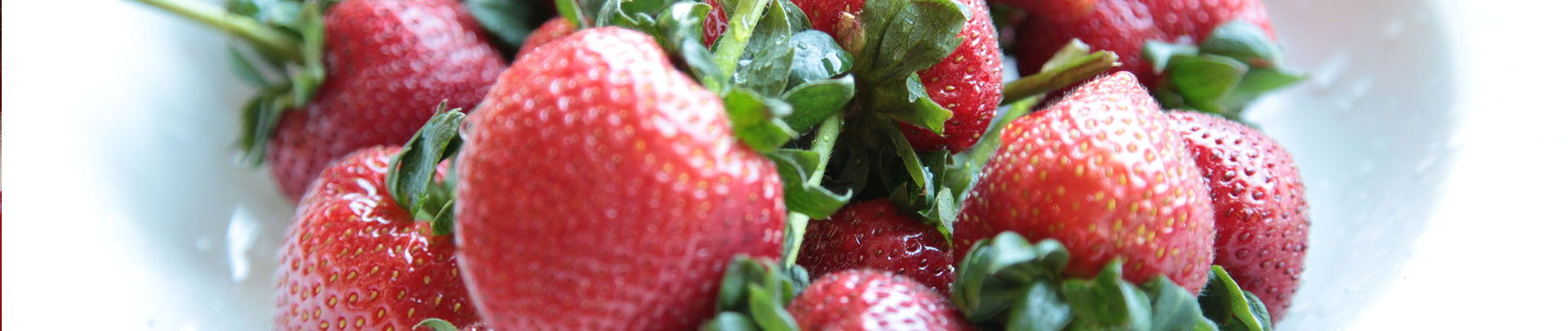 What is a Food Allergy? | Icahn School of Medicine