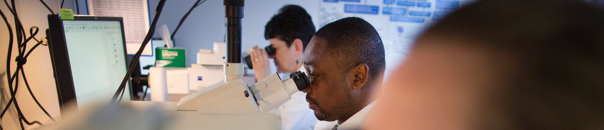 Department of Pathology | Icahn School of Medicine