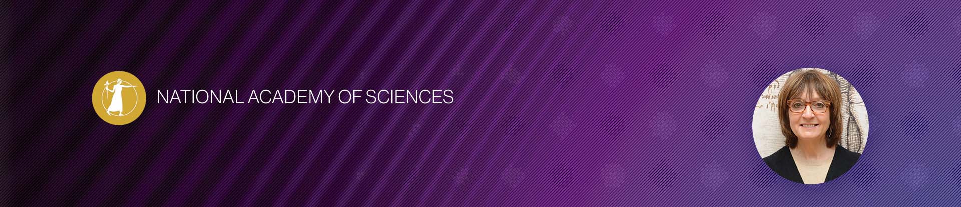 Nash Family Center for Advanced Circuit Therapeutics | Icahn School of ...