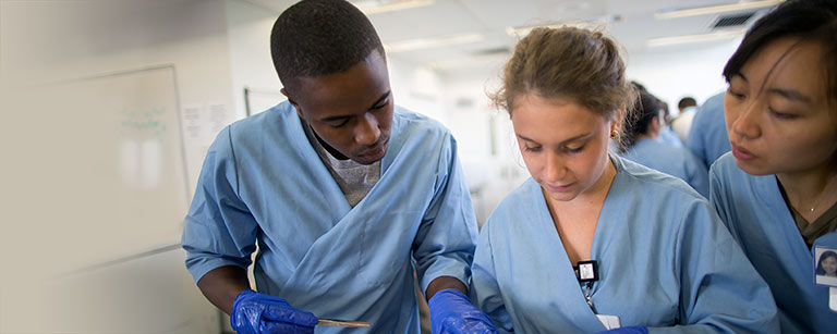 Body Donation Program | Icahn School of Medicine