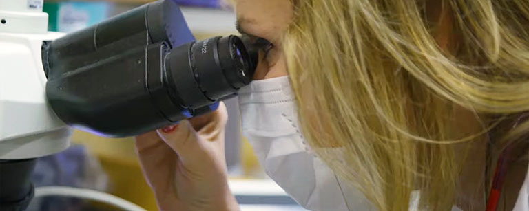 Brain-Body Research Institute | Icahn School of Medicine