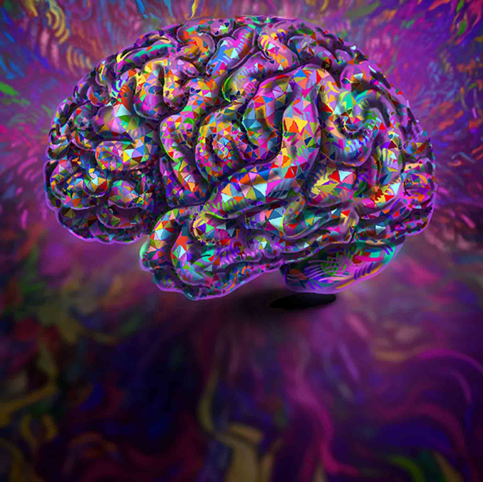 Brain and Body Research Areas | Icahn School of Medicine