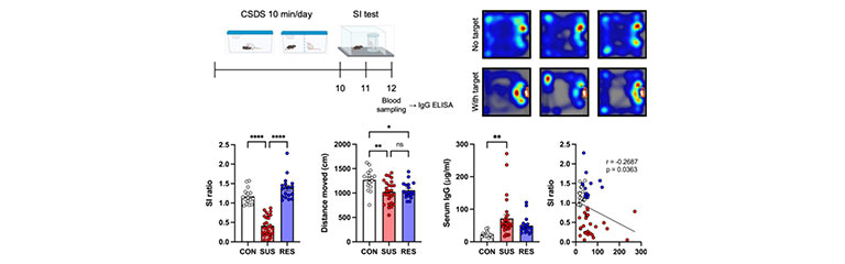 Brain and Body Research Areas | Icahn School of Medicine