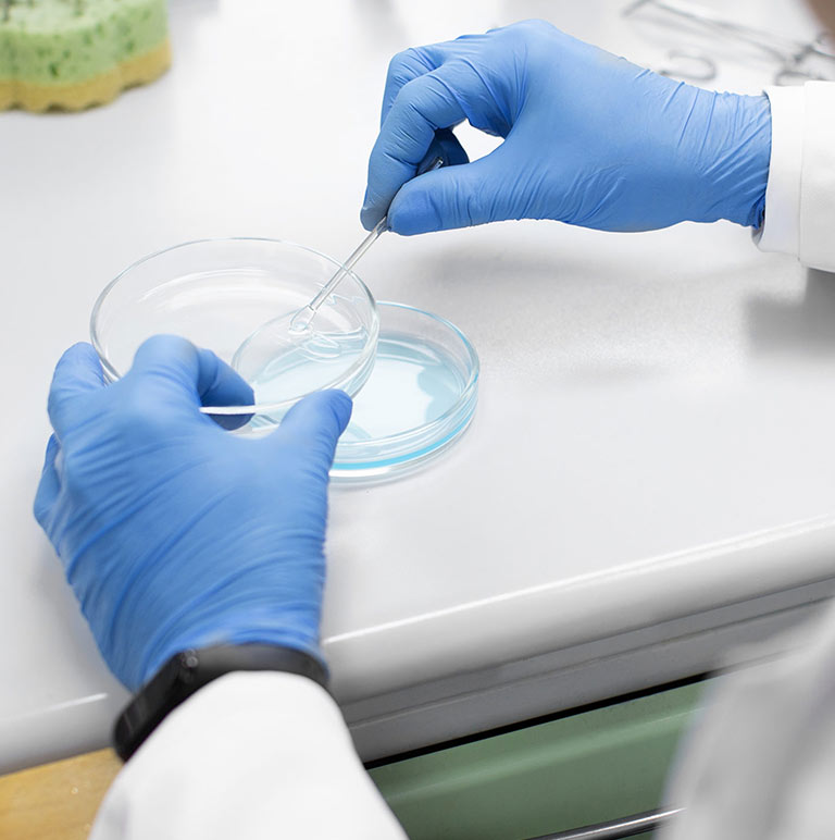 Brain and Body Research Areas | Icahn School of Medicine