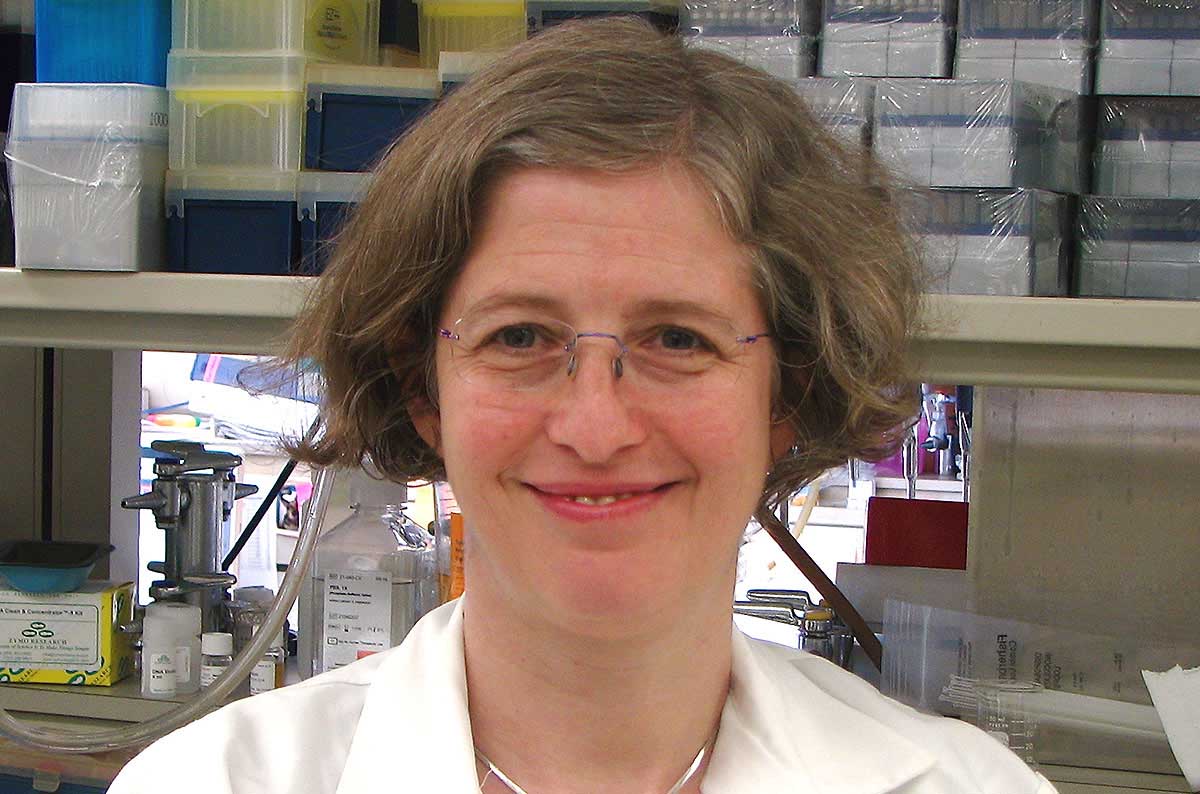 Center for Vaccine Research and Pandemic Preparedness | Icahn School of ...