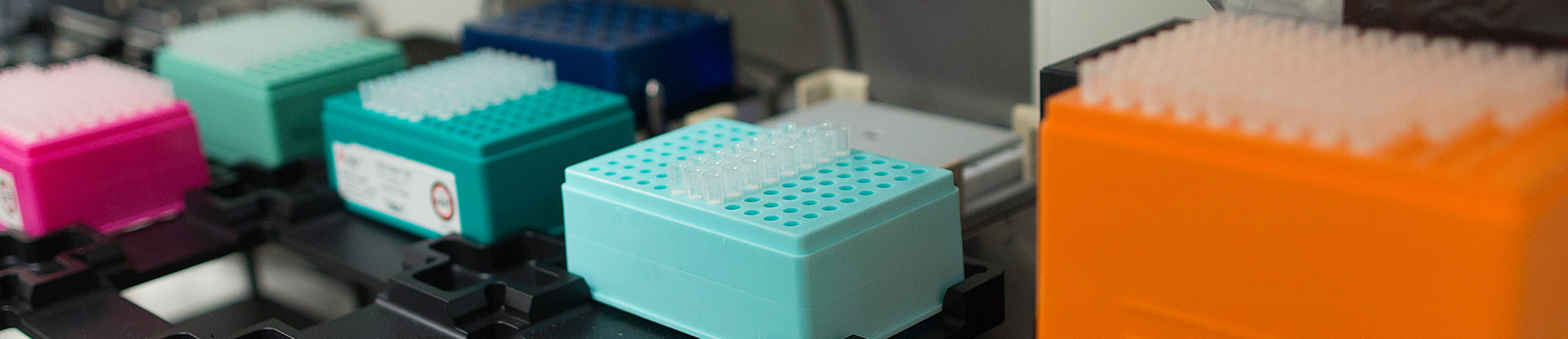 Assay Development | Icahn School of Medicine