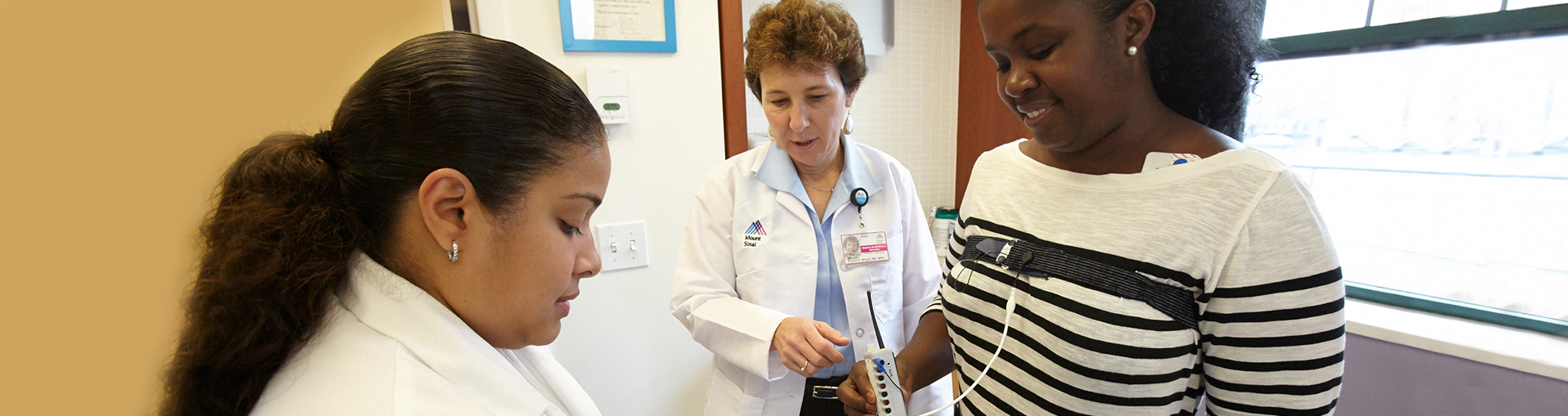 Childrens Environmental Risk Laboratory | Icahn School of Medicine