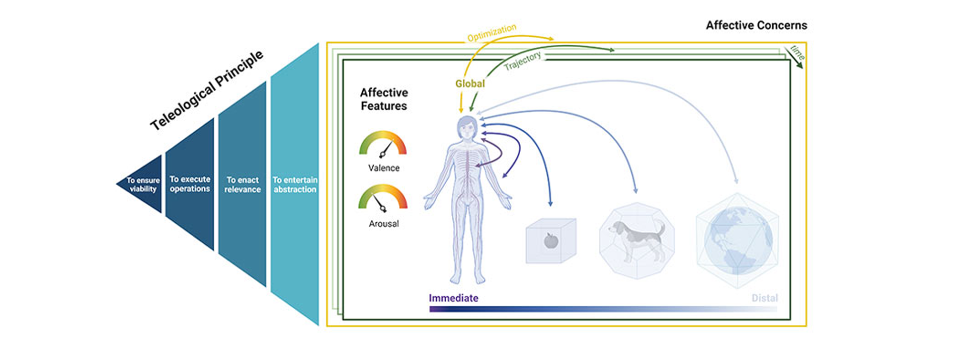 The Friedman Brain Institute | Icahn School of Medicine