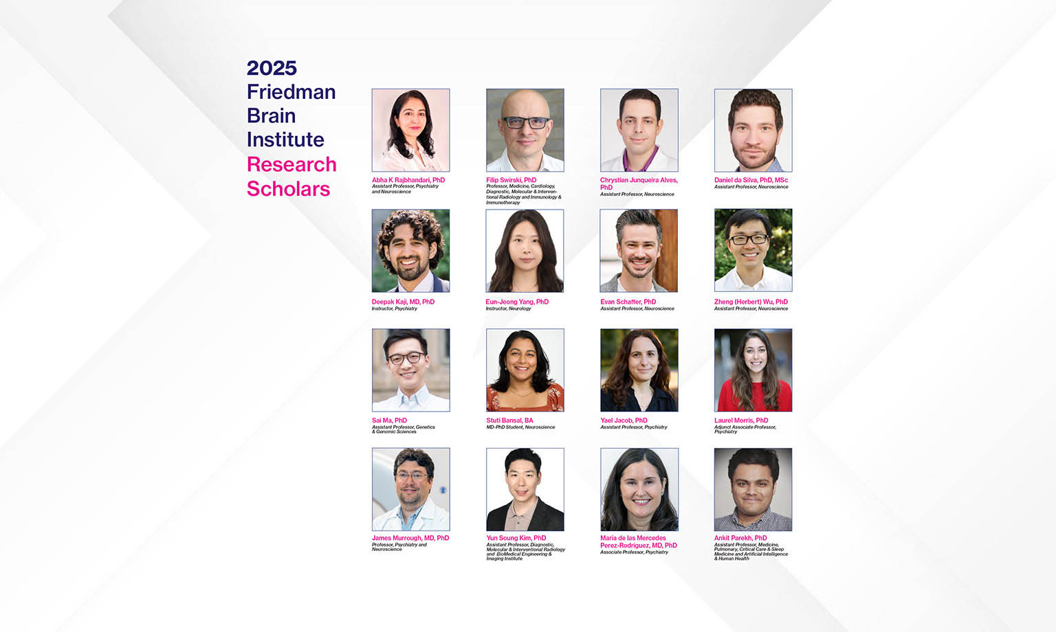 Research Scholars Program | Icahn School of Medicine