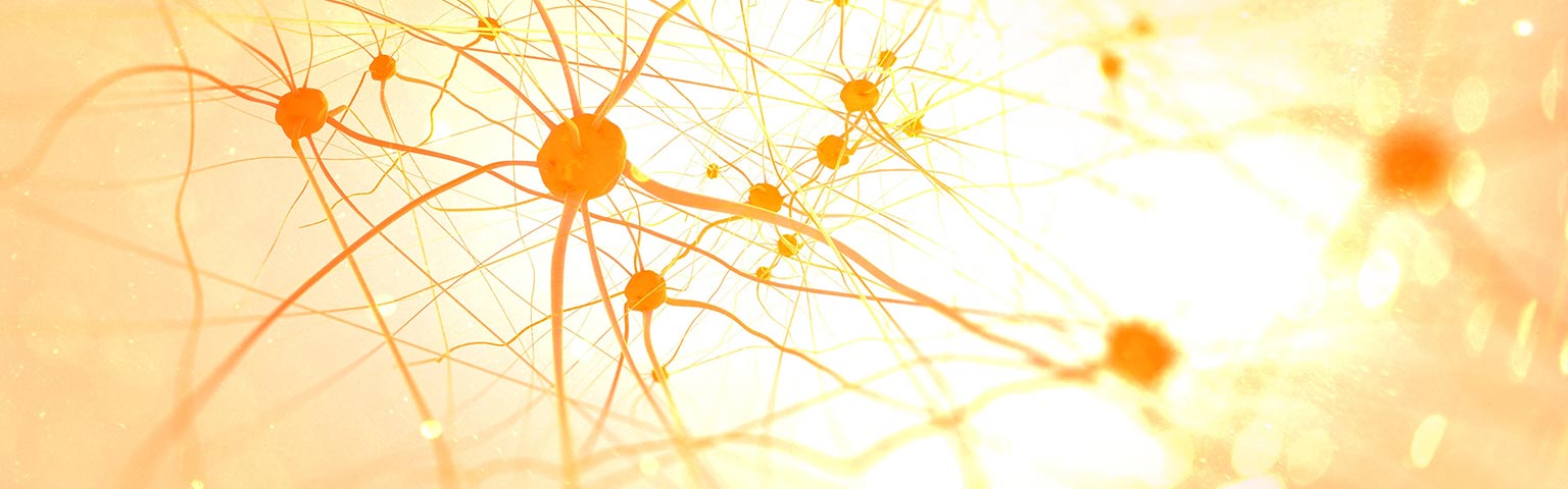 Computational Neuroscience | Icahn School of Medicine