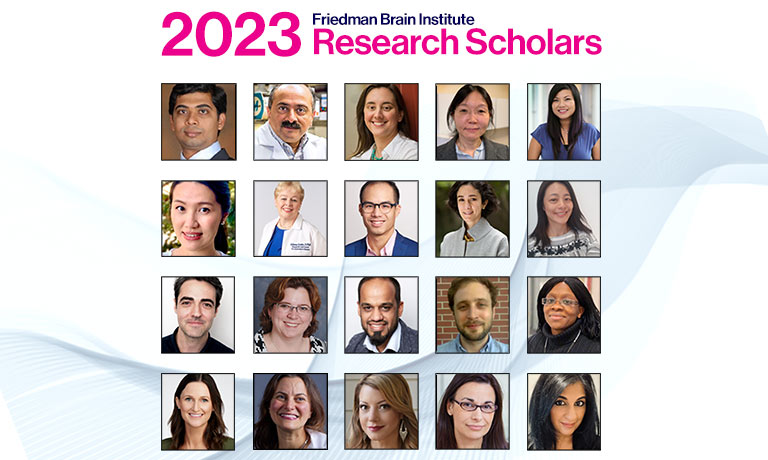 Research Scholars Program | Icahn School of Medicine