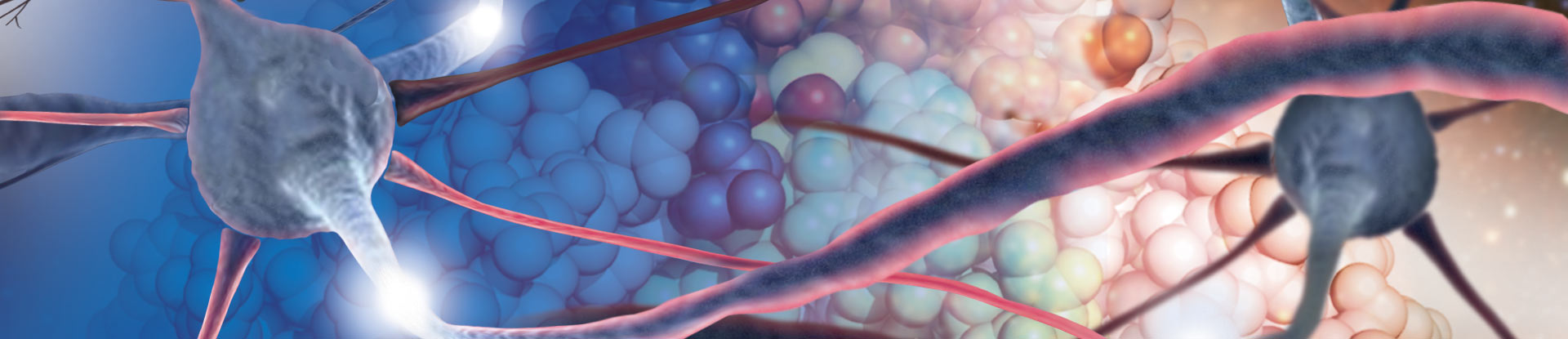 Center for Neurotechnology and Behavior | Icahn School of Medicine