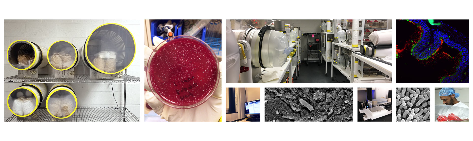 Marc and Jennifer Lipschultz Precision Immunology Institute | Icahn ...