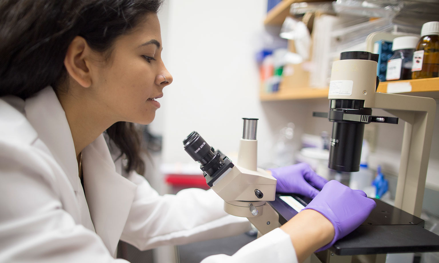 Cancer Research Training and Education | Icahn School of Medicine