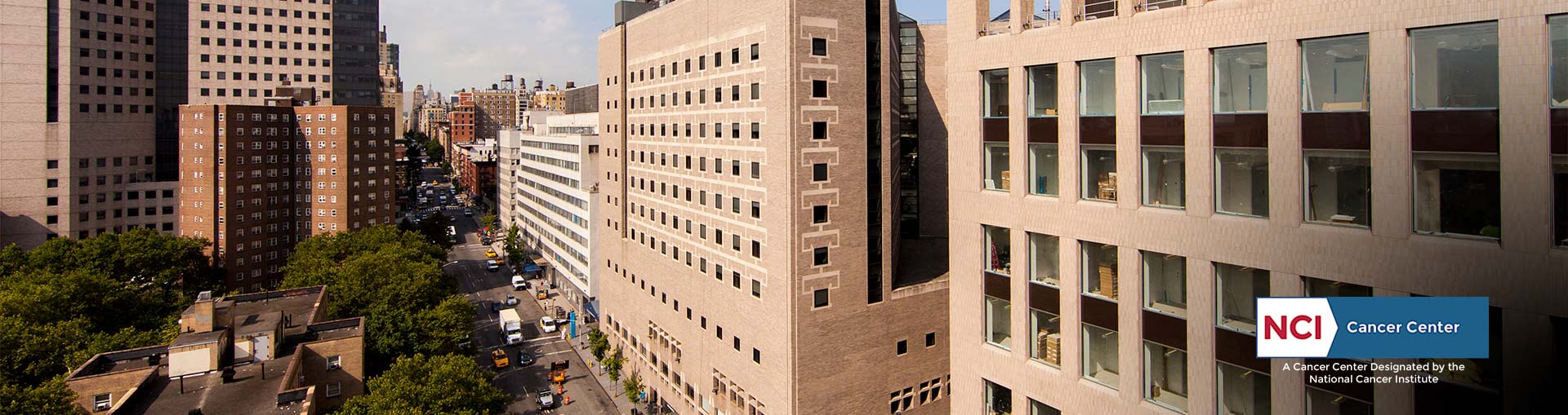 The Tisch Cancer Institute – Mount Sinai | Icahn School of Medicine