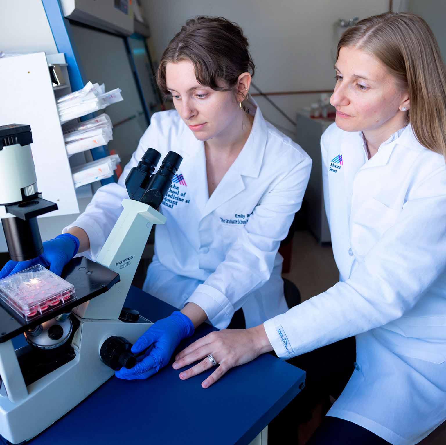 Mount Sinai Tisch Cancer Center | Icahn School of Medicine