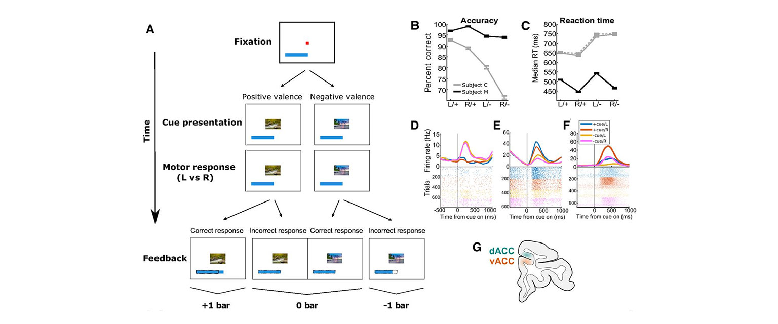 Lipschultz Center for Cognitive Neuroscience | Icahn School of Medicine