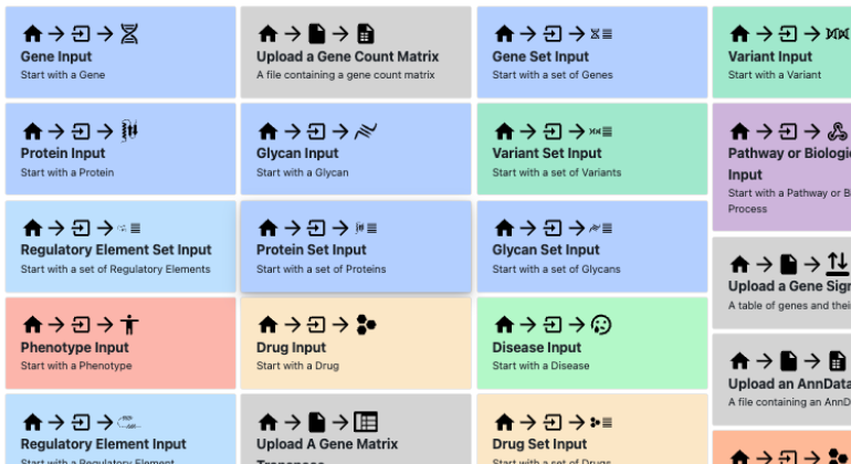 Medical Research | Icahn School of Medicine
